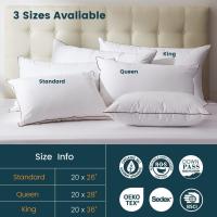 China Soft Square 100% Polyester Set of 2 Luxury Hungarian Goose Down Pillows for Sleeping for sale