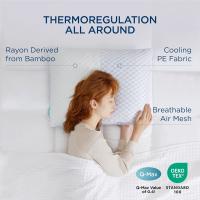 China Rayon Derived from Bamboo Cooling Pillow with Adjustable Loft and Anti-Static Comfort for sale