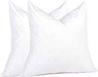 China Natural Goose Feather Throw Pillow Inserts 20 x 20 Set of 2 White is customized Yes for sale