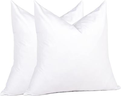 China Natural Goose Feather Throw Pillow Inserts 20 x 20 Set of 2 White is customized Yes for sale