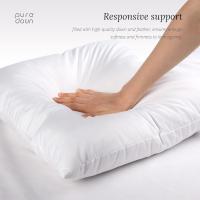 China Natural Goose Feather Throw Pillow Inserts 20 x 20 Set of 2 White is customized Yes for sale
