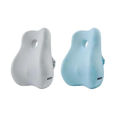China Slow Rebound Memory Foam Back Rest Support Cushion for Modern Style Lumbar Cushion for sale