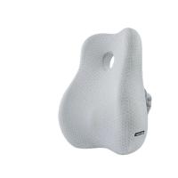 China Slow Rebound Memory Foam Back Rest Support Cushion for Modern Style Lumbar Cushion for sale
