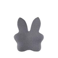 China Customized PP Bag Packing Way Lumbar Pillow Memory Foam Back Rest Support Cushion for sale
