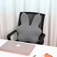 China Customized PP Bag Packing Way Lumbar Pillow Memory Foam Back Rest Support Cushion for sale