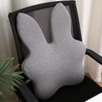 China Customized PP Bag Packing Way Lumbar Pillow Memory Foam Back Rest Support Cushion for sale