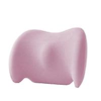 China Hotel Memory Foam Lumbar Support for Car Home and Office Customized Size Waist Support for sale