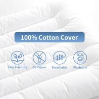 China Stomach and Back Sleepers' Choice 2.5