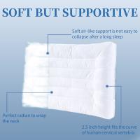 China Stomach and Back Sleepers' Choice 2.5