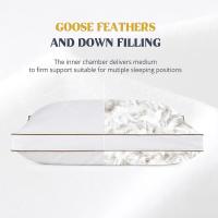 China Hotel Collection Feather and Down Pillows King Size Set of 2 Home Decor Sofa Cushion for sale