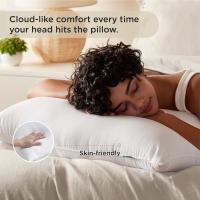 China Pillows Queen Size Set of 2 Soft and Supportive Queen Pillows 2 Pack for Hotel Sleeping for sale