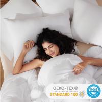 China Pillows Queen Size Set of 2 Soft and Supportive Queen Pillows 2 Pack for Hotel Sleeping for sale
