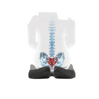China Upgrade Your Seating Comfort Pain Relief Memory Foam Coccyx Cushion for Car or Chair for sale