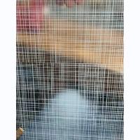 China Customizable Acid AG Tempered Glass Digital Printing Design SGCC Approved for sale