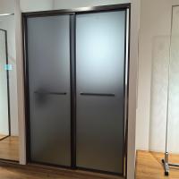 China Stylish and Durable Tempered Glass Door for Shower Screen Sliding Door for sale