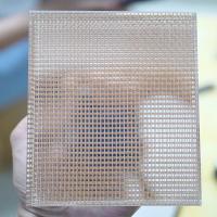 China Laminated Tempered Glass with Wire Mesh for Enhanced Safety and Aesthetic Design for sale