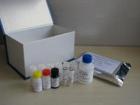 China Rat Phospho Signal Transducer And Activator Of Transcription 3 (p-STAT3)ELISA Kit for sale