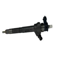 China Car Fitment JAC HFC4DF1 Fuel Injector for Engine Spare Parts of Junling Shuailing Kanling for sale