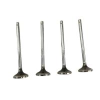 China Standard Size Steel Intake Exhaust Valve for QC480 Auto Spare Parts 2408000300800-c for sale