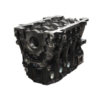 China Yunnei Engine D20TCIDF Cylinder Block for JAC Foton Trucks X10011054 Easy Installation for sale