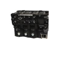 China Yunnei Engine D20TCIDF Cylinder Block for JAC Foton Trucks X10011054 Easy Installation for sale