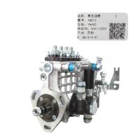 China SHA110028 OE NO. YUNNEI High Pressure Oil Pump Assembly Higher for YN490 4Q613 Engine for sale