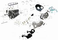 China Xiangling S Engine Assembly for iSF3.8 iSF2.8 FOTON Dependable and Durable for sale