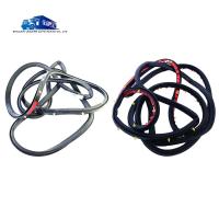 China Rubber Left Front Door Seal Strip for Foton Truck Parts OEM NO F1B18061200034A1916 for sale