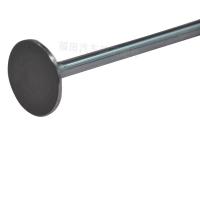China 2015 SUNRAY Bus Foton Truck Parts Intake And Exhaust Valve ISF3.8 for sale