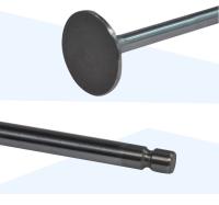 China 2015 SUNRAY Bus Foton Truck Parts Intake And Exhaust Valve ISF3.8 for sale