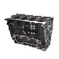 China X10000174 Weichai Diesel Engine Assembly for Performance in Machinery and Trucks for sale
