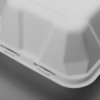 China To Go 3 Compartment Microwavable Biodegradable Fast Food Takeaway Box Wholesale Catering Disposable Food Containers for sale