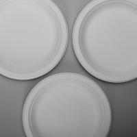 China 7  Inch  8g Snack Biodegradable Sugarcane Bagasse Plates for sale