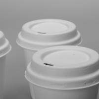 China Bagasse Molded Pulp Leakproof 8oz 250ml Biodegradable Cups And Lids for sale