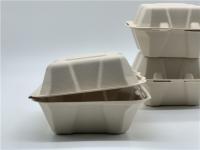 China Bagasse Hamburger 6 Inch 20g Biodegradable Takeout Containers for sale