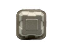 China Compostable Biodegradable Food Packaging Eco Friendly Food Packages Clamshell for sale