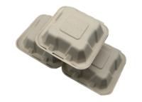 China Compostable Biodegradable Food Packaging Eco Friendly Food Packages Clamshell for sale