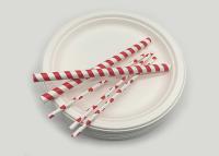 China 9 Inch Snack 100% Natural Sugarcane Compostable Plates for sale