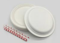 China 9 Inch Snack 100% Natural Sugarcane Compostable Plates for sale