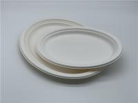 China 10/12 inch Biodegradable Sugarcane Bagasse Plates for sale