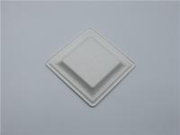 China 6 Inch Waterproof Tableware Square Sugarcane Waste Plates for sale