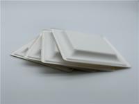 China 6 Inch Waterproof Tableware Square Sugarcane Waste Plates for sale