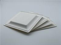 China 6 Inch Waterproof Tableware Square Sugarcane Waste Plates for sale
