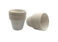 China Take Away 60ml  2oz Sugarcane Bagasse Cups for sale