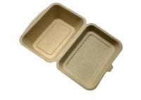 China Disposable Bagasse 7×5 Inch 20g Bio Food Packaging for sale