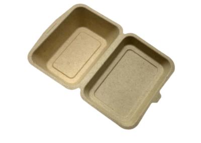 China Disposable Bagasse 7×5 Inch 20g Bio Food Packaging for sale