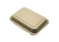 China Disposable Bagasse 7×5 Inch 20g Bio Food Packaging for sale