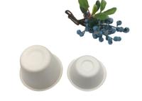 China 4oz 72×30mm 120ml Biodegradable Cups And Lids for sale
