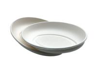 China Oval 262.5x197x20.1mm Biodegradable Sugarcane Bagasse Plates for sale