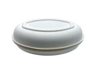 China Oval 262.5x197x20.1mm Biodegradable Sugarcane Bagasse Plates for sale